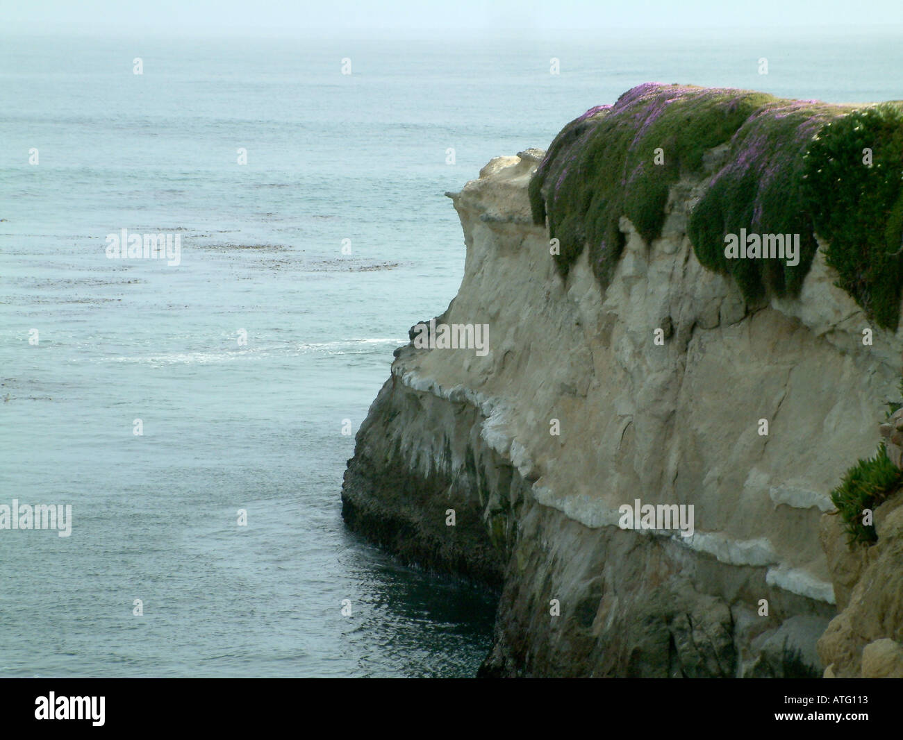 Cascading Flowers and Coastal Cliffs Stock Photo - Alamy