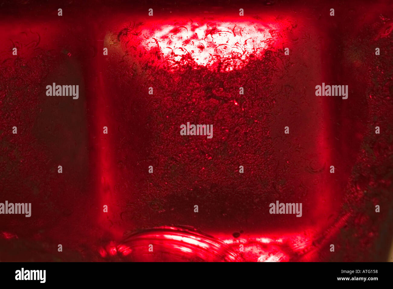 30x magnification hi-res stock photography and images - Alamy