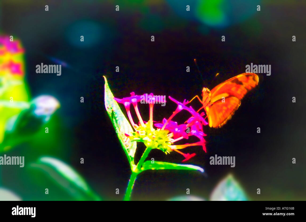 The pentice hi-res stock photography and images - Alamy