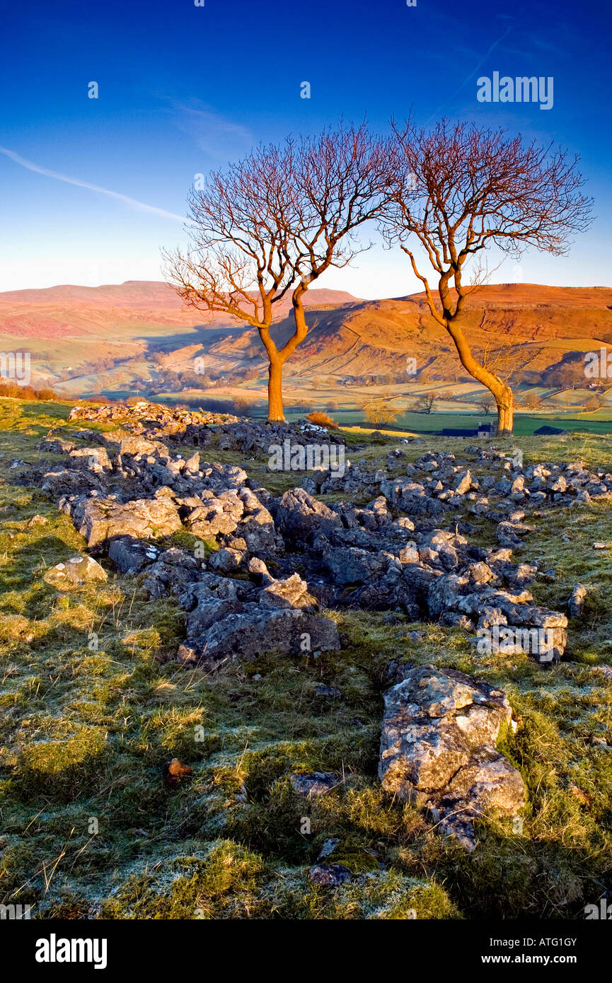 First rays of sun light hit limestone pavement at feizor with ...
