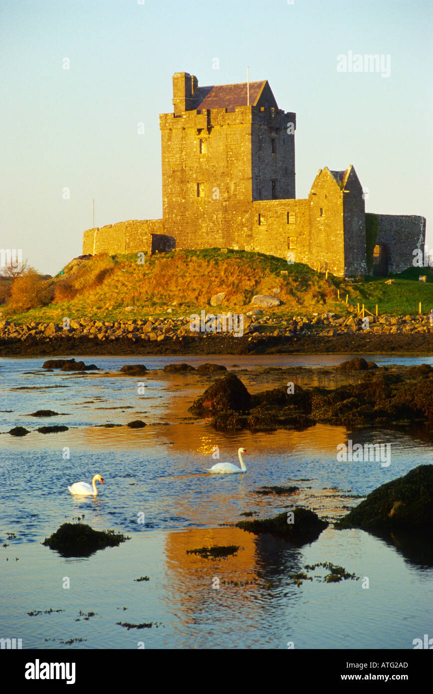 Ireland castle swan hi-res stock photography and images - Alamy