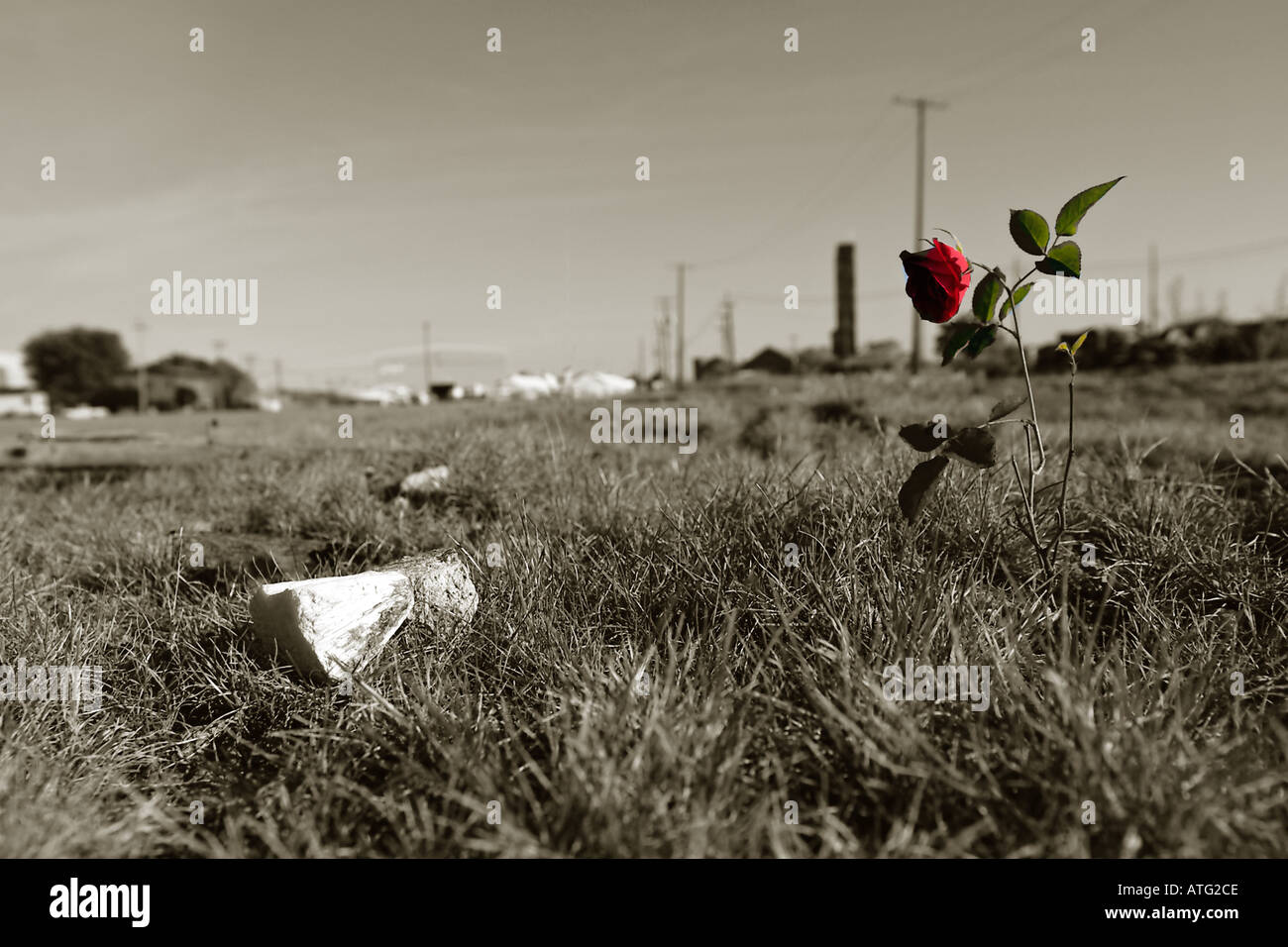 Weedy area hi-res stock photography and images - Alamy