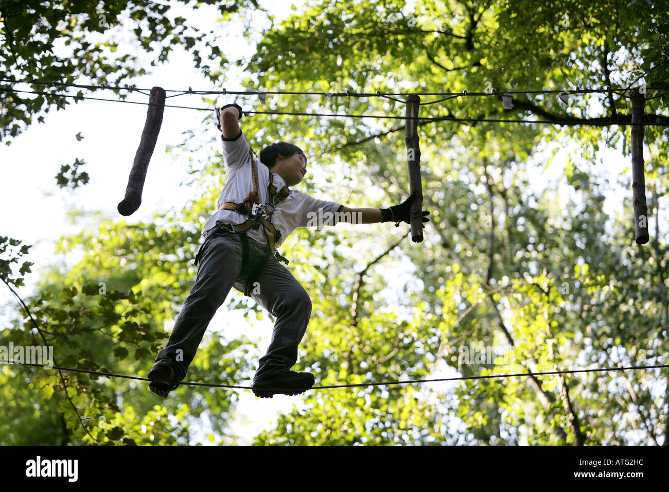 DEU, Germany, Oberhausen : Climbing garden in a forest. tree2tree Stock ...