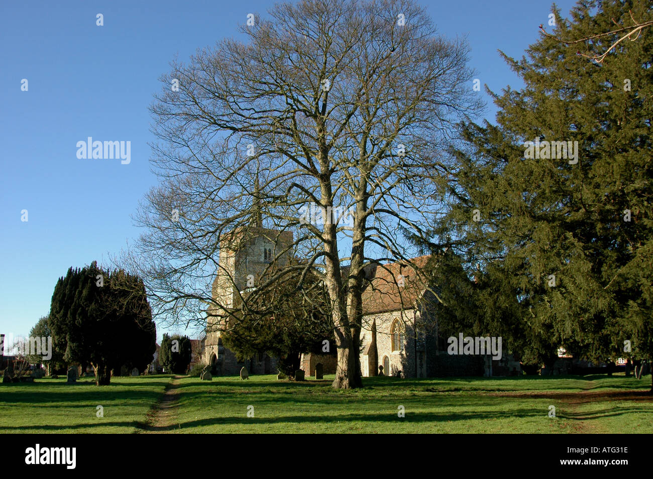 Flamstead hertfordshire hi-res stock photography and images - Alamy