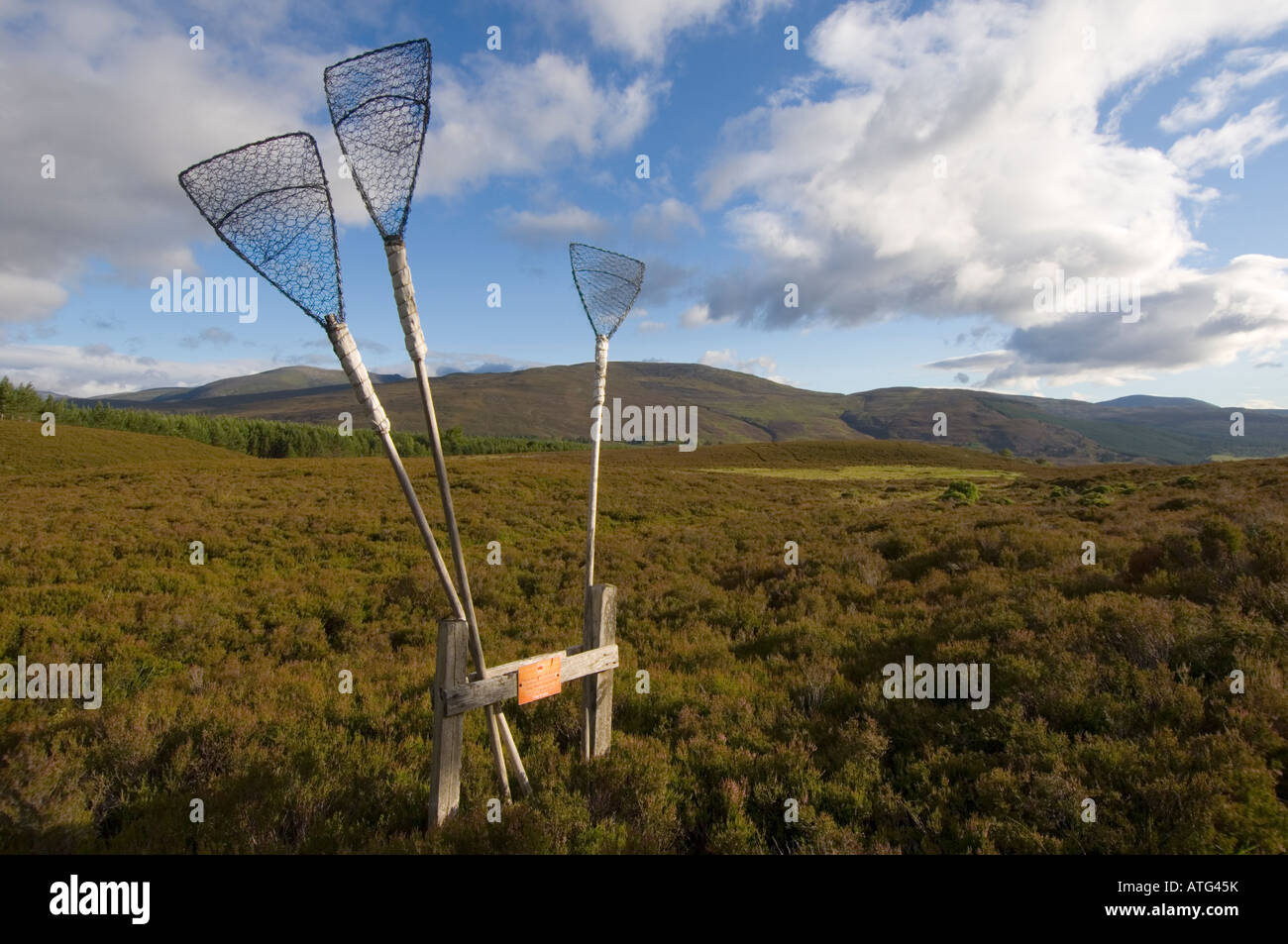 Fire fighting on moorland hi-res stock photography and images - Alamy