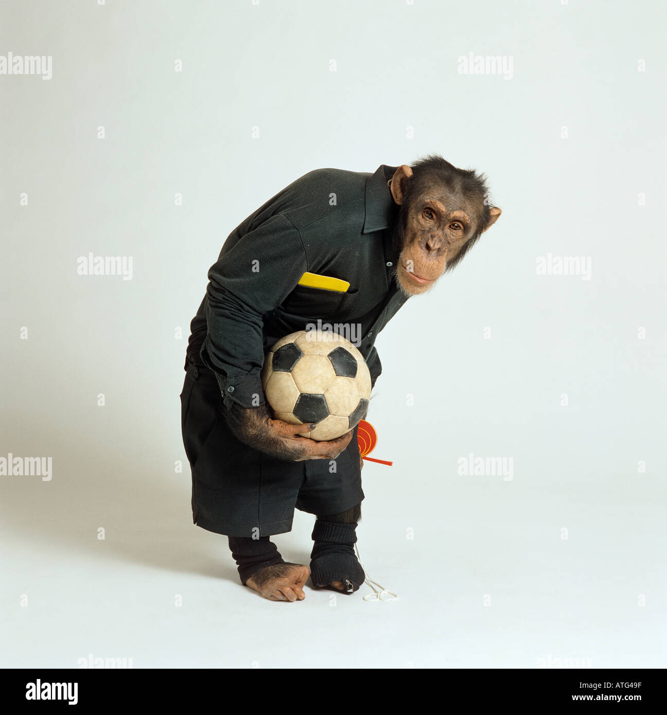 Common football Cut Out Stock Images & Pictures - Alamy