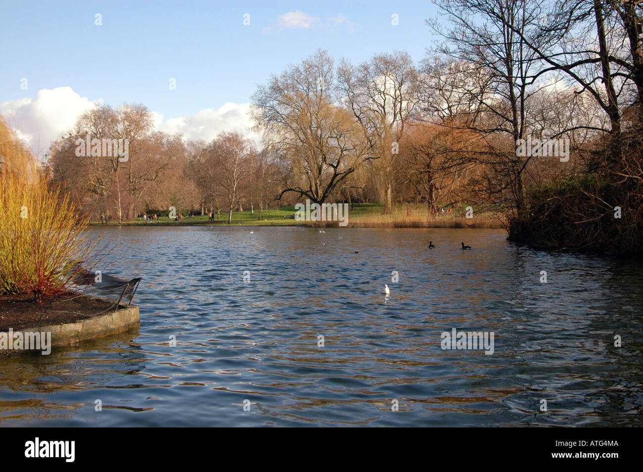 James pond hi-res stock photography and images - Alamy