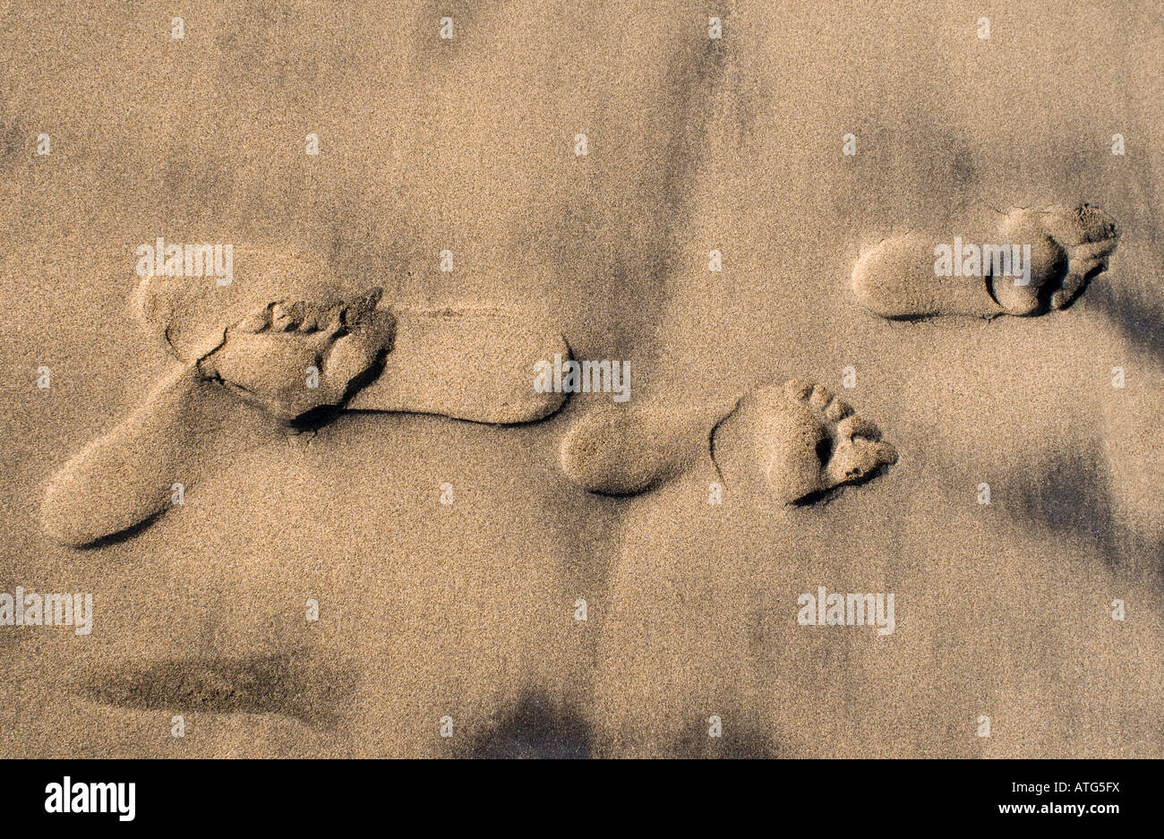 Footprints in sand Stock Photo - Alamy