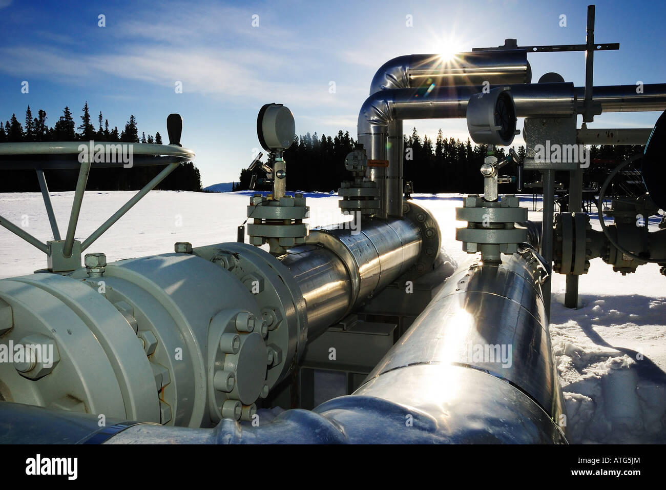 pig sender receiver infront of sun Stock Photo - Alamy