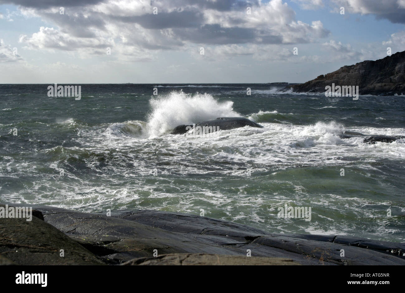 Gale over the sea Stock Photo - Alamy