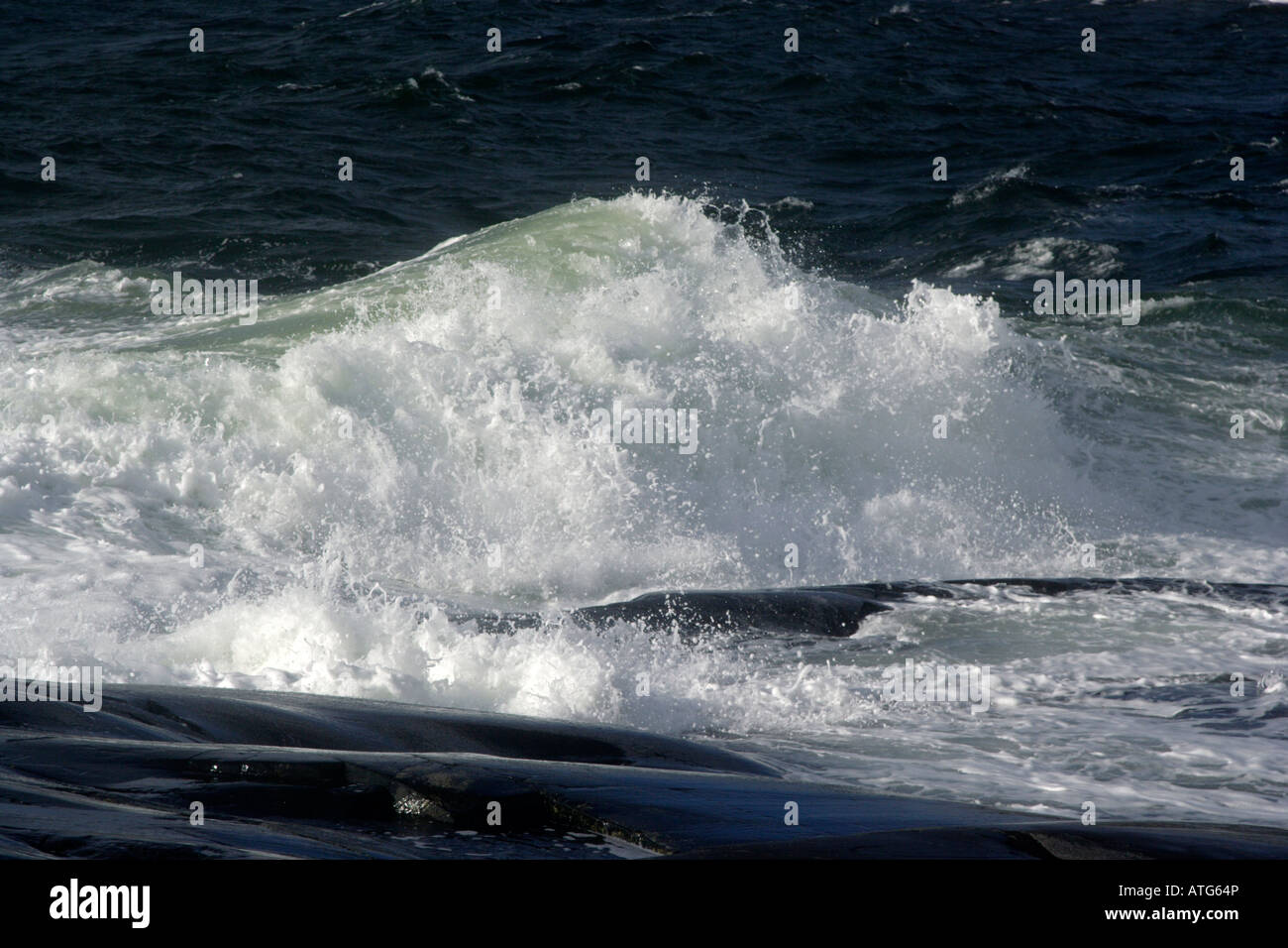 Gale over the sea Stock Photo - Alamy