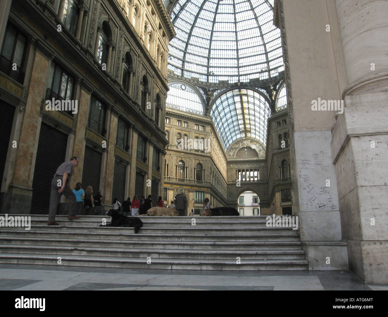 Stray dog and italy hi-res stock photography and images - Alamy