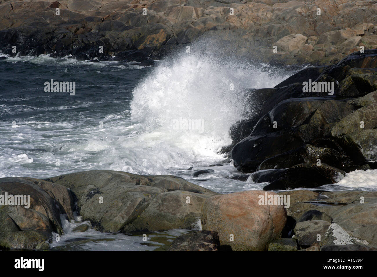 Gale over the sea Stock Photo - Alamy