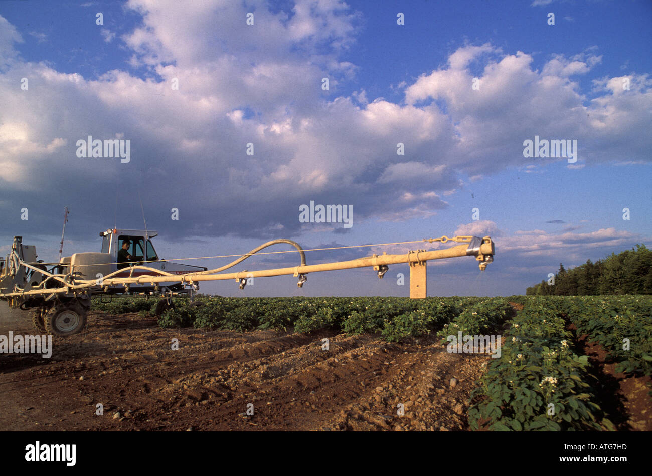 Stock image of tractor with wings fertilizing potato field in New ...