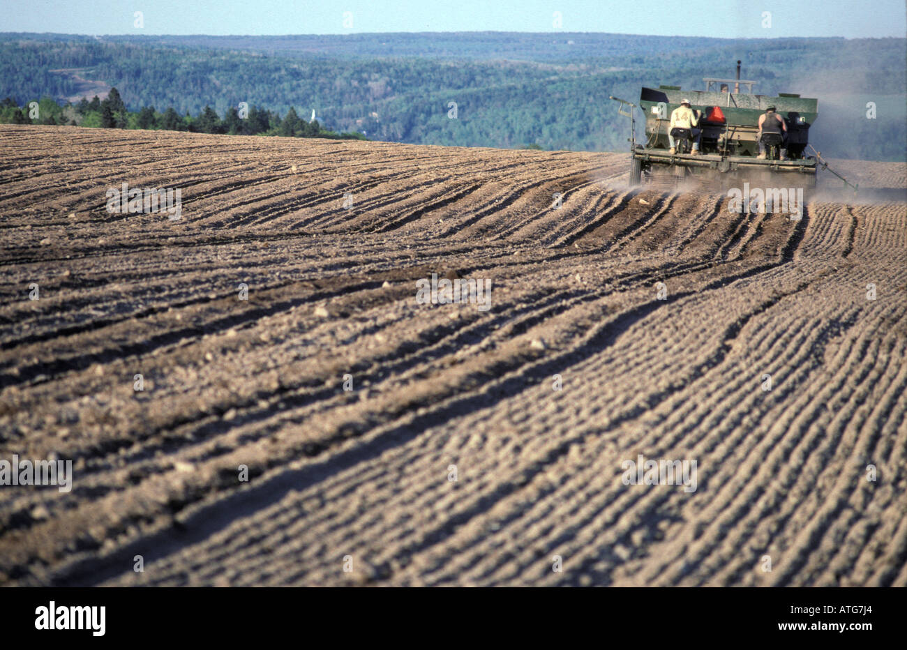 Potato planing hi-res stock photography and images - Alamy