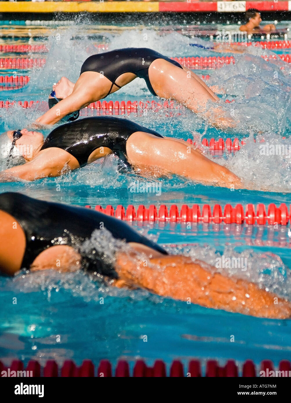 Swimmers and their competition in the pool Stock Photo - Alamy