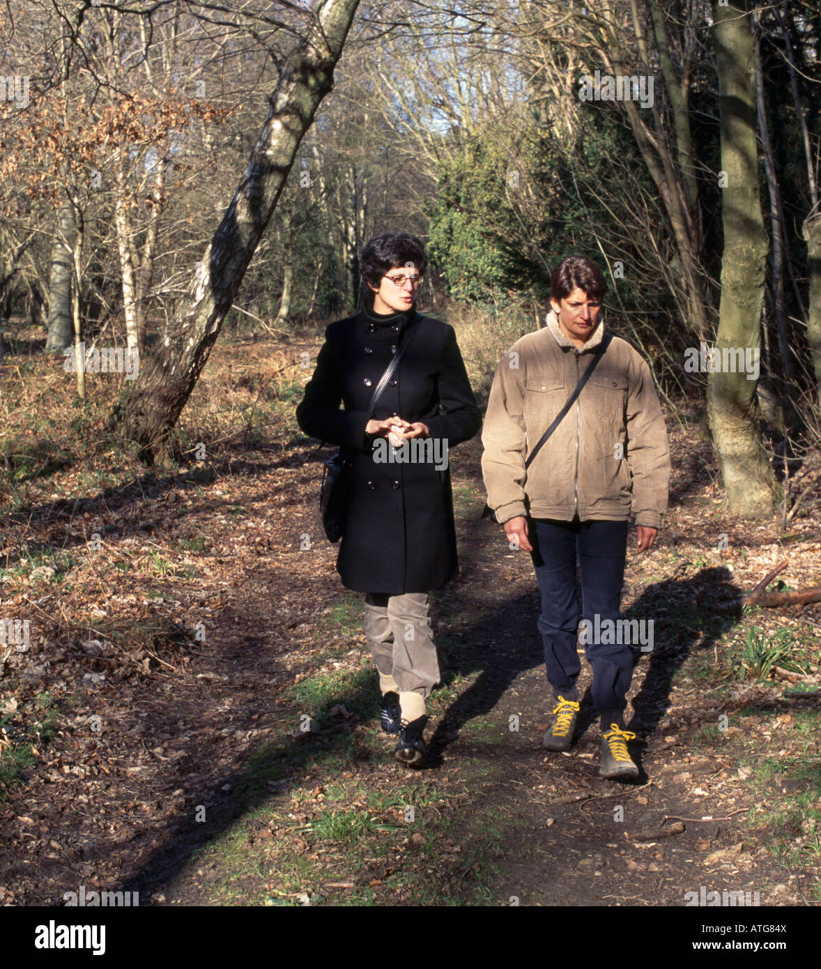 Two women walking in woodland Kent England UK Stock Photo - Alamy