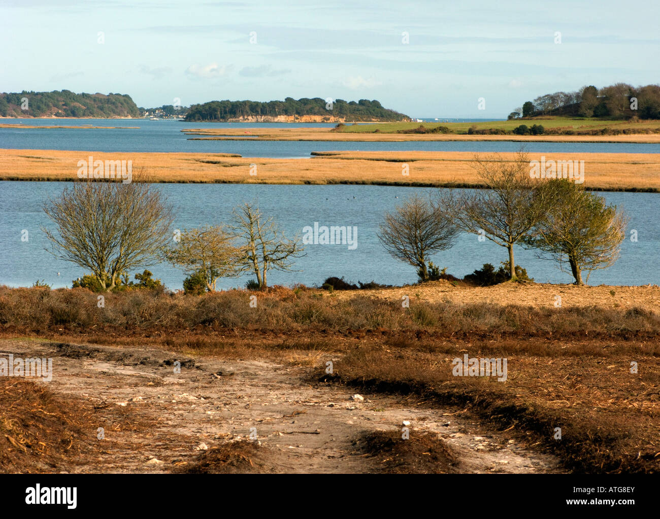 Poole harbour hi-res stock photography and images - Alamy