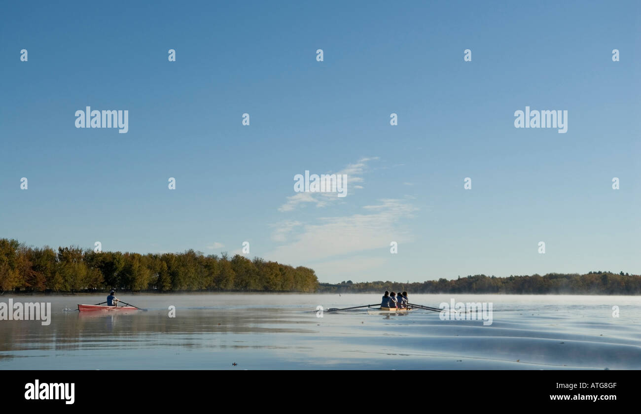 Stock image of a rowing team in a four man rowing shell in early ...