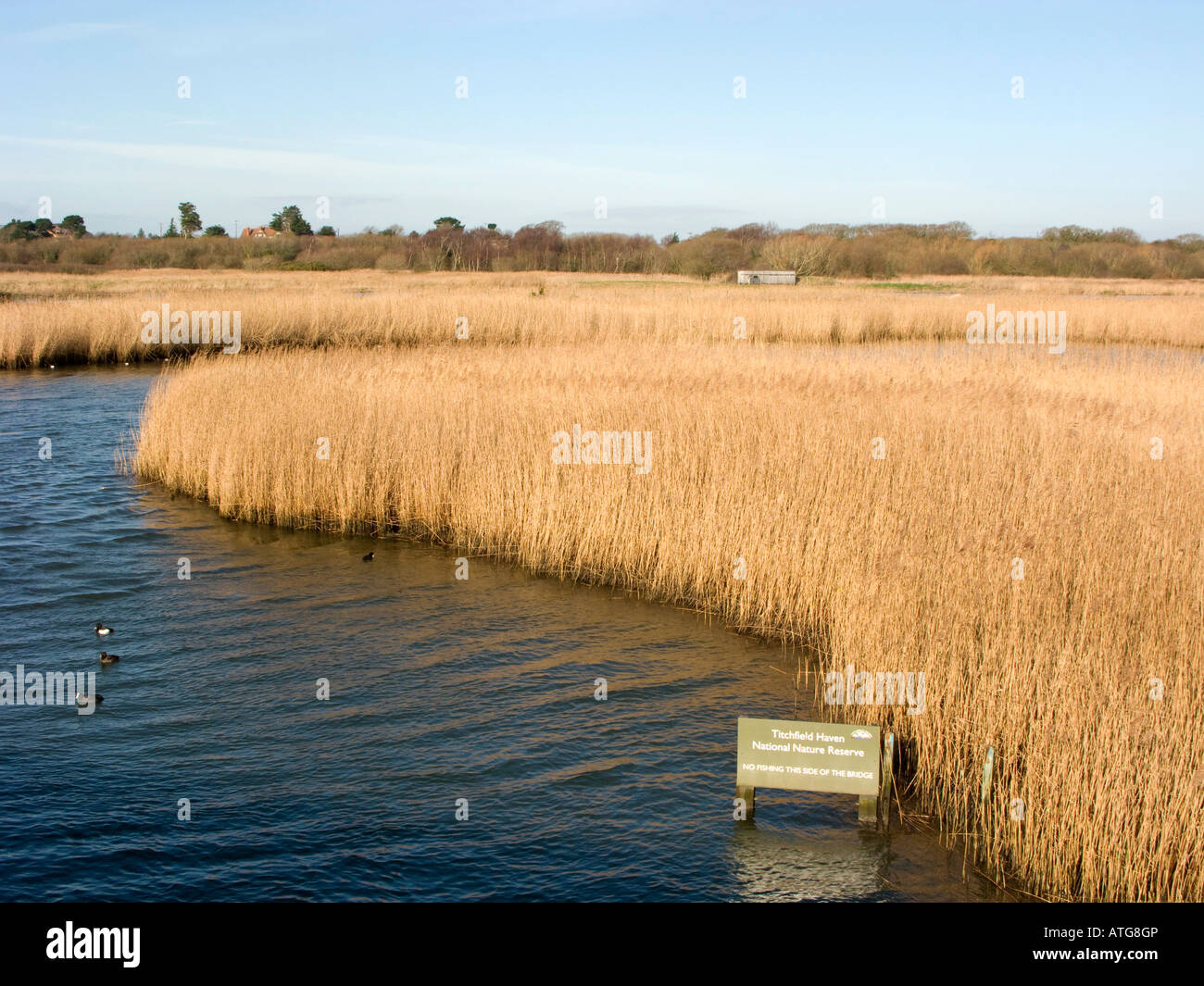 Titchfield Haven Nature Reserve in Hampshire, UK Stock Photo - Alamy
