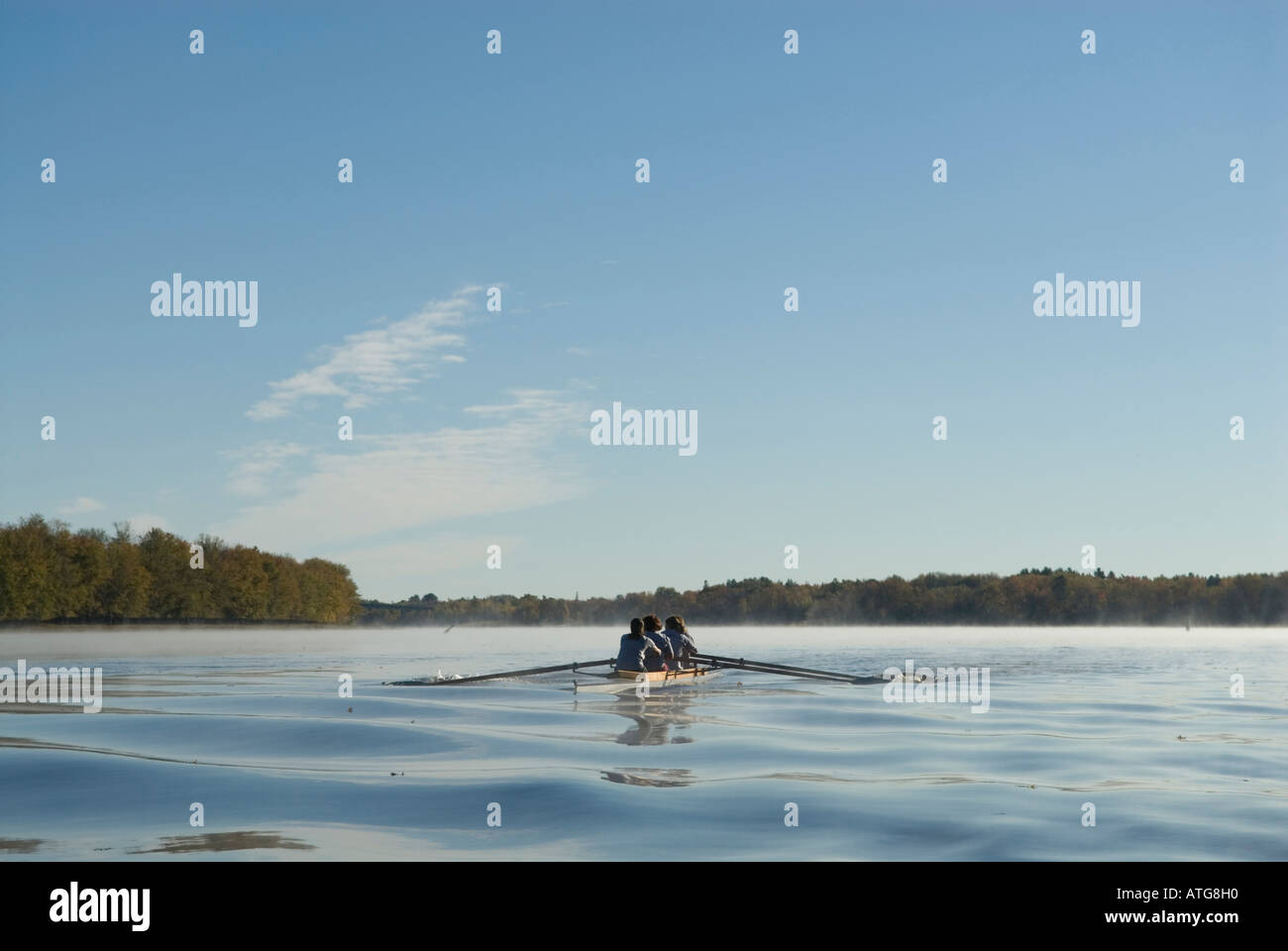 Stock image of a rowing team in a four man rowing shell in early ...