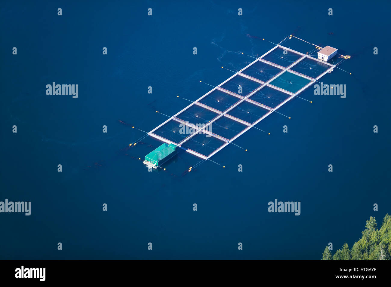 Aerial View of Fish Farming British Columbia Canada Stock Photo - Alamy