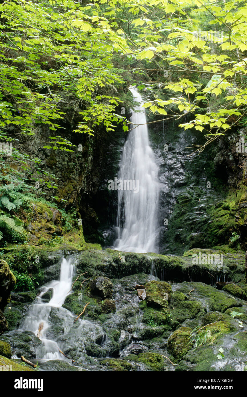 Dickson falls hi-res stock photography and images - Alamy