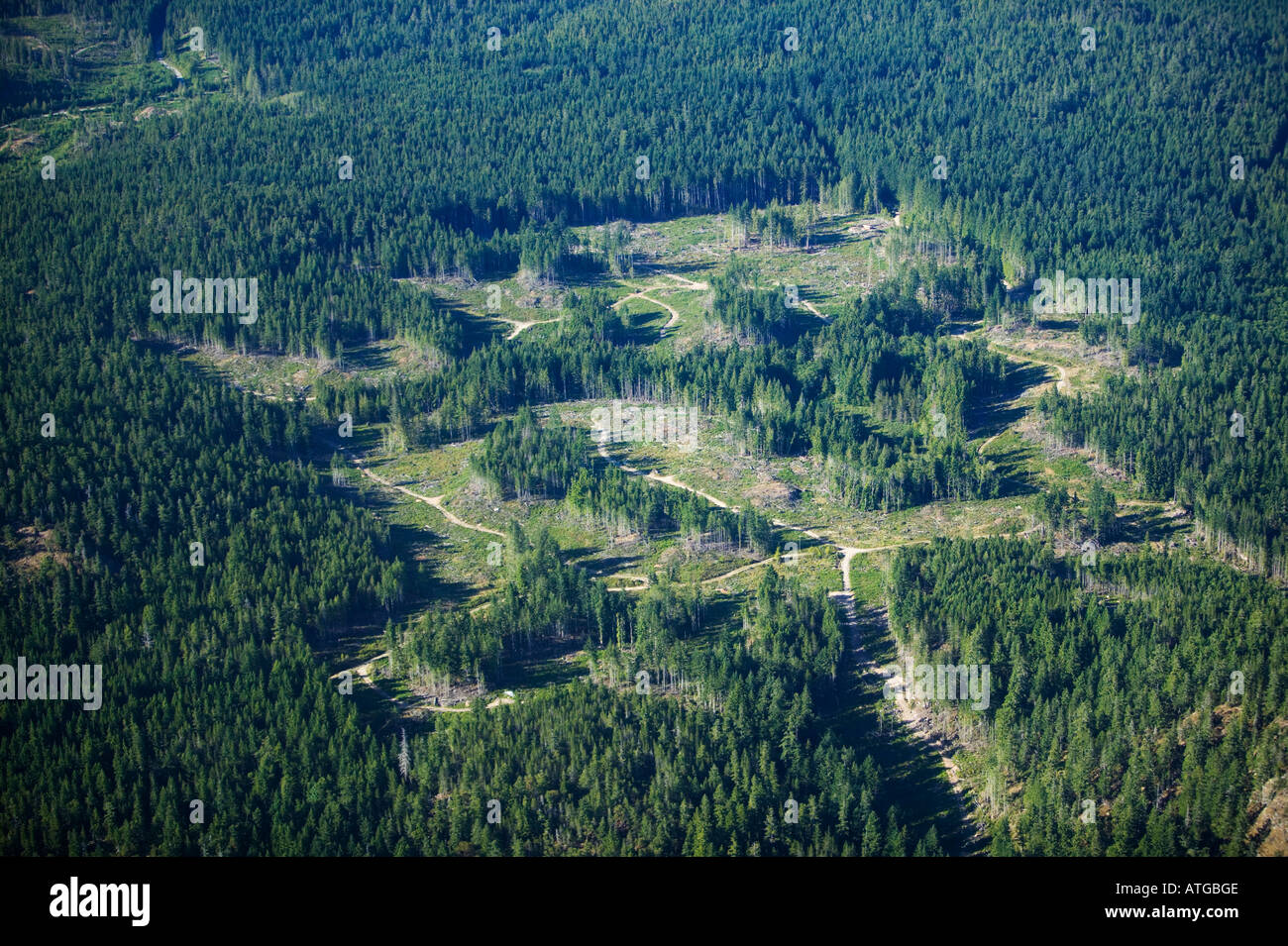 Selective logging hi-res stock photography and images - Alamy