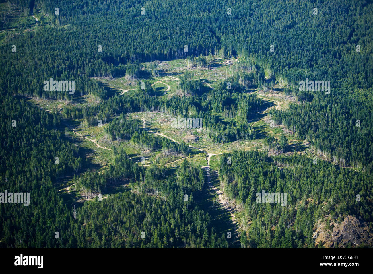 Selective logging hi-res stock photography and images - Alamy