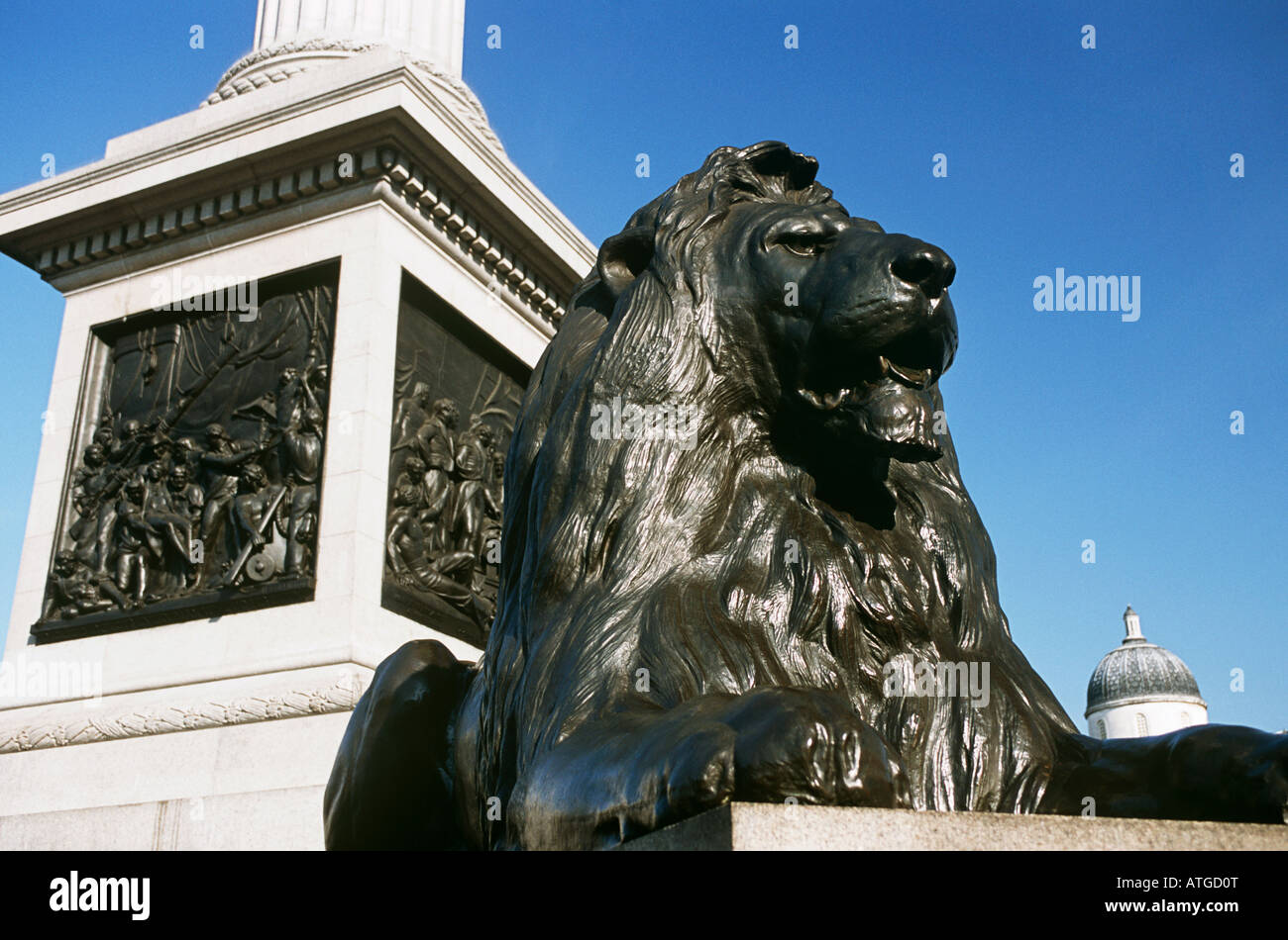 Lion of trafalgar square hi-res stock photography and images - Alamy