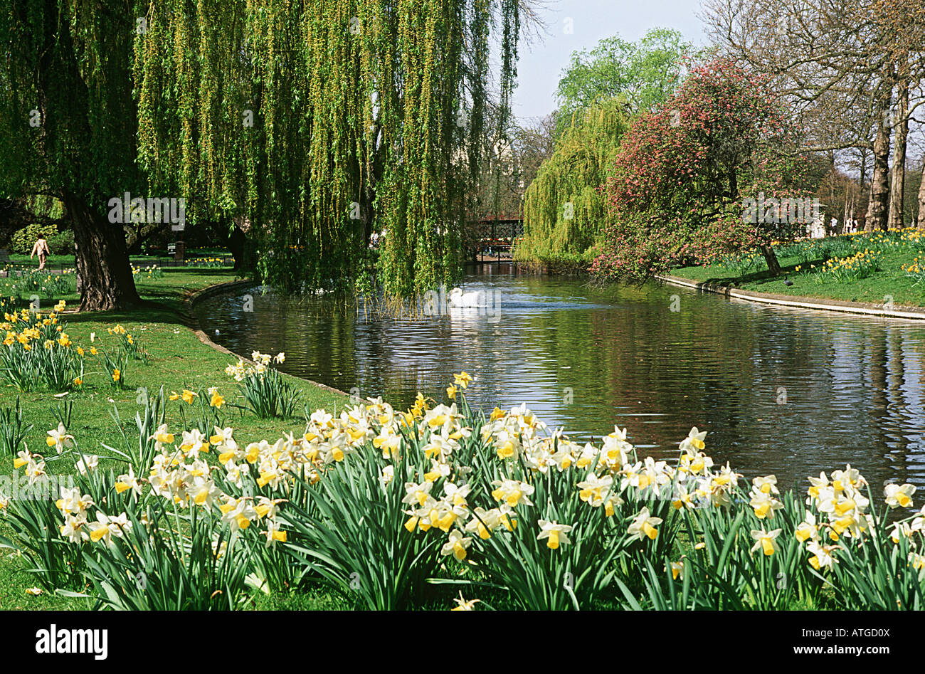 Regents park london Stock Photo - Alamy
