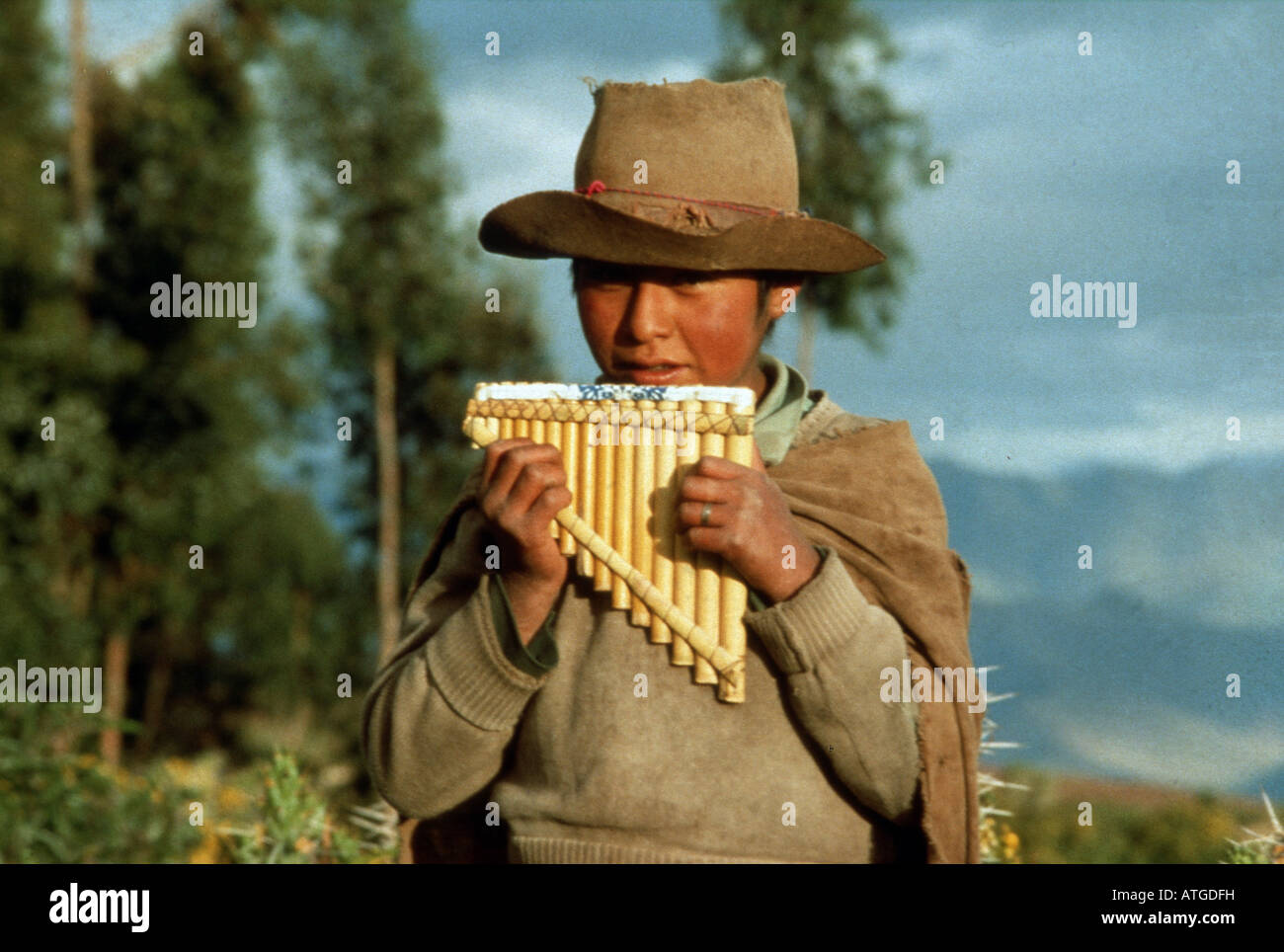 A portrait of an Indian boy playing the Rondador (Incan pan pipes) in ...