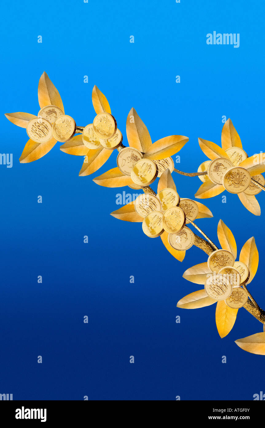 One pound coins on a tree Stock Photo - Alamy