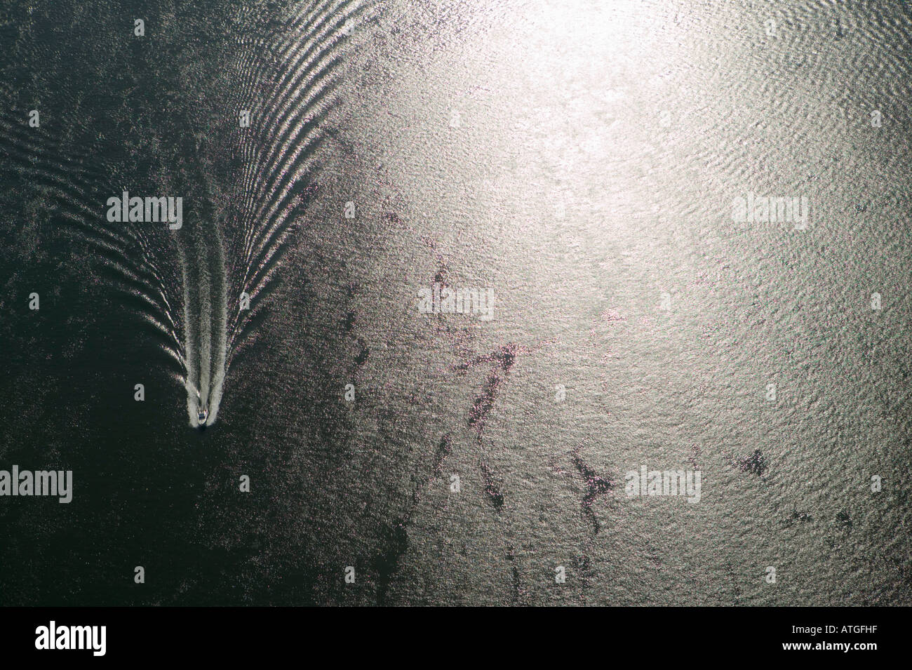 Aerial View of a Boat and Wake Stock Photo - Alamy