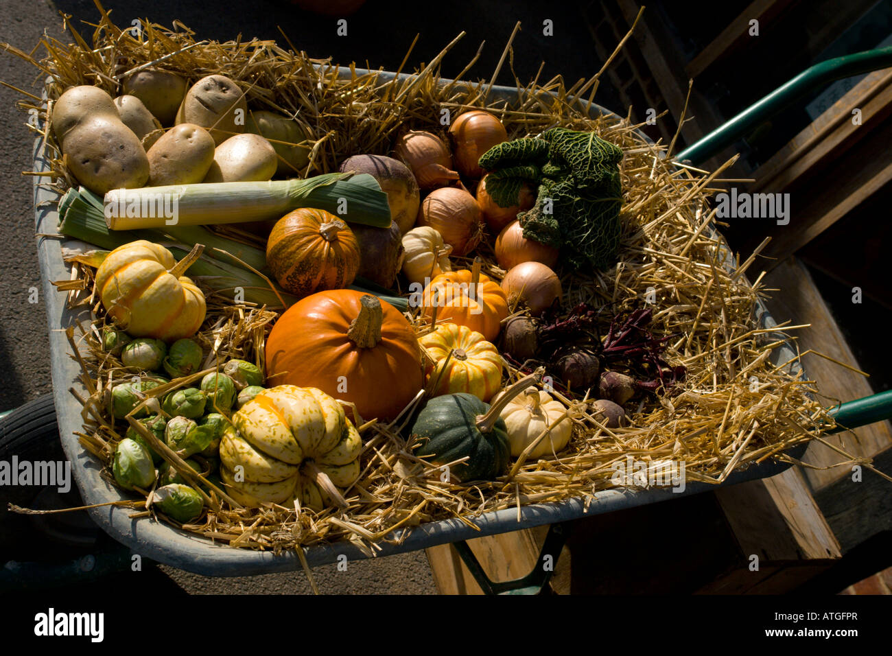 Wheelbarrow containing vegetables Stock Photo - Alamy