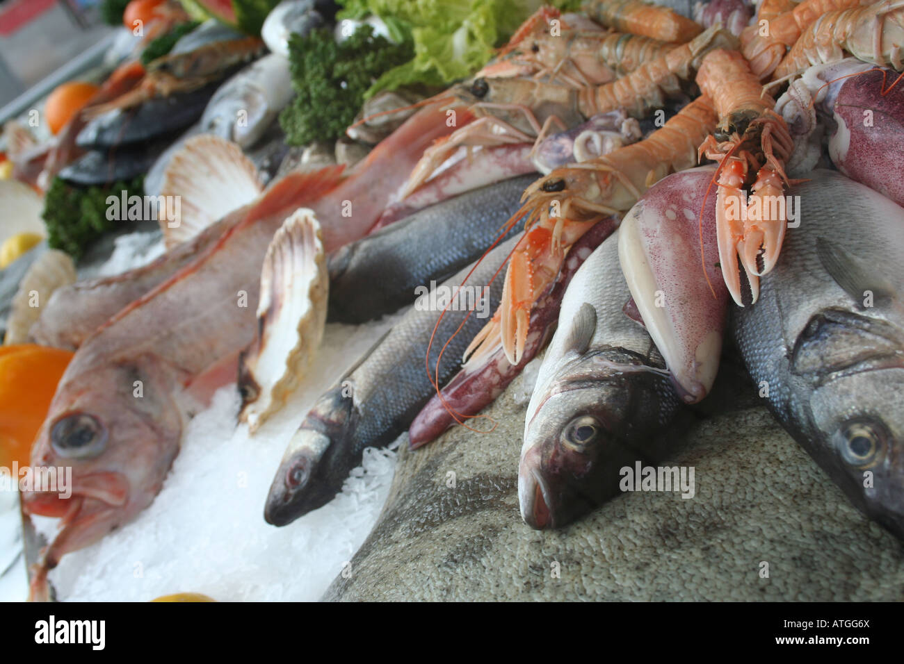 Beautiful seafood on the ice Stock Photo - Alamy