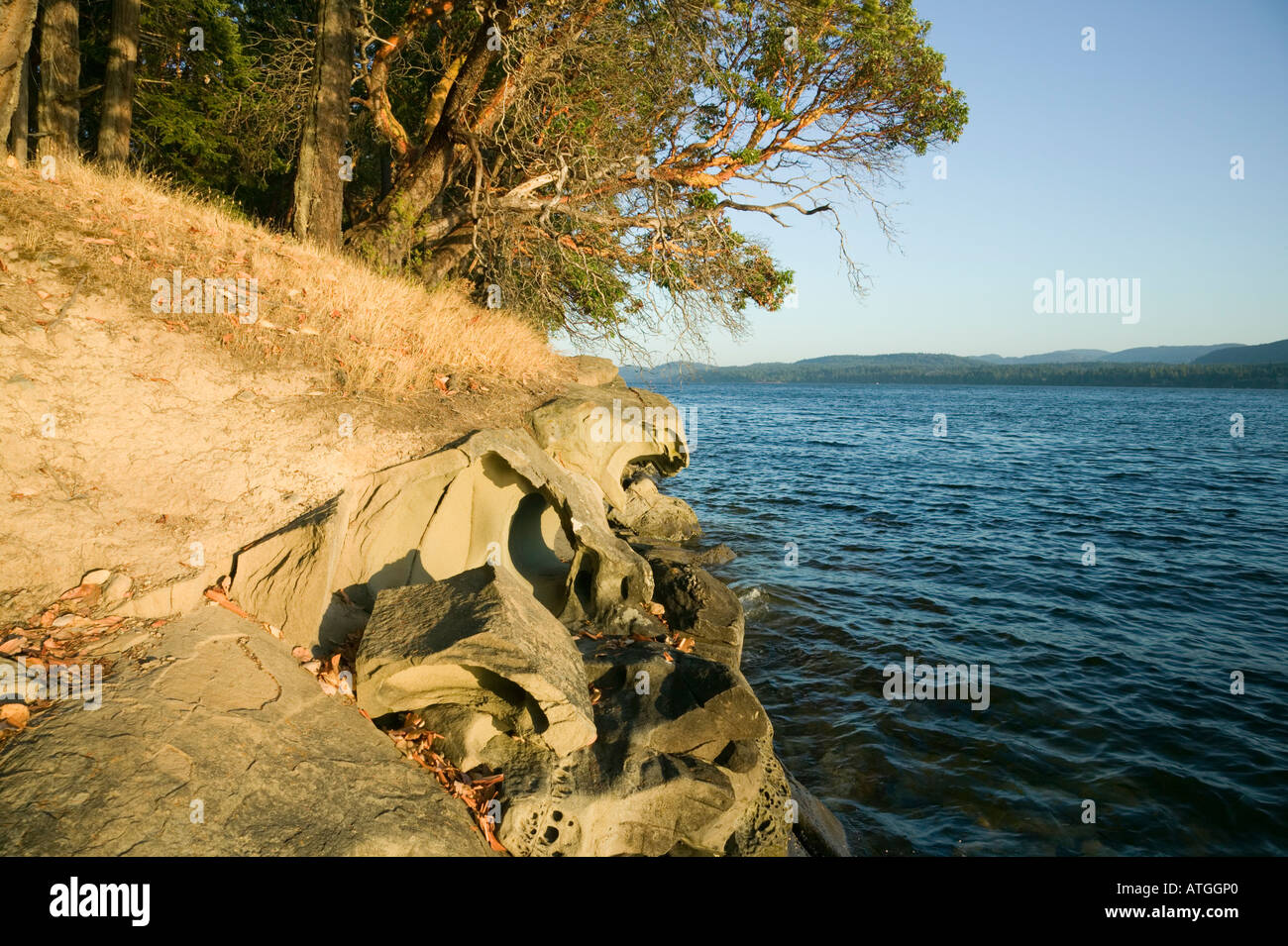 Wallace island hi-res stock photography and images - Alamy