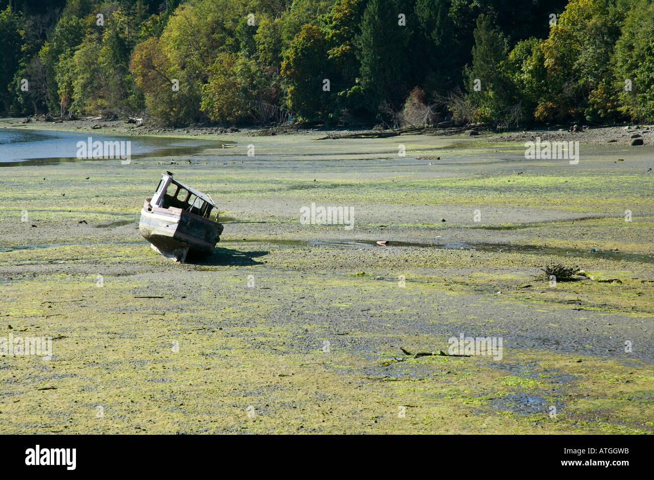 Grounded Boat Ganges Salt Spring Island BC Canada Stock Photo - Alamy