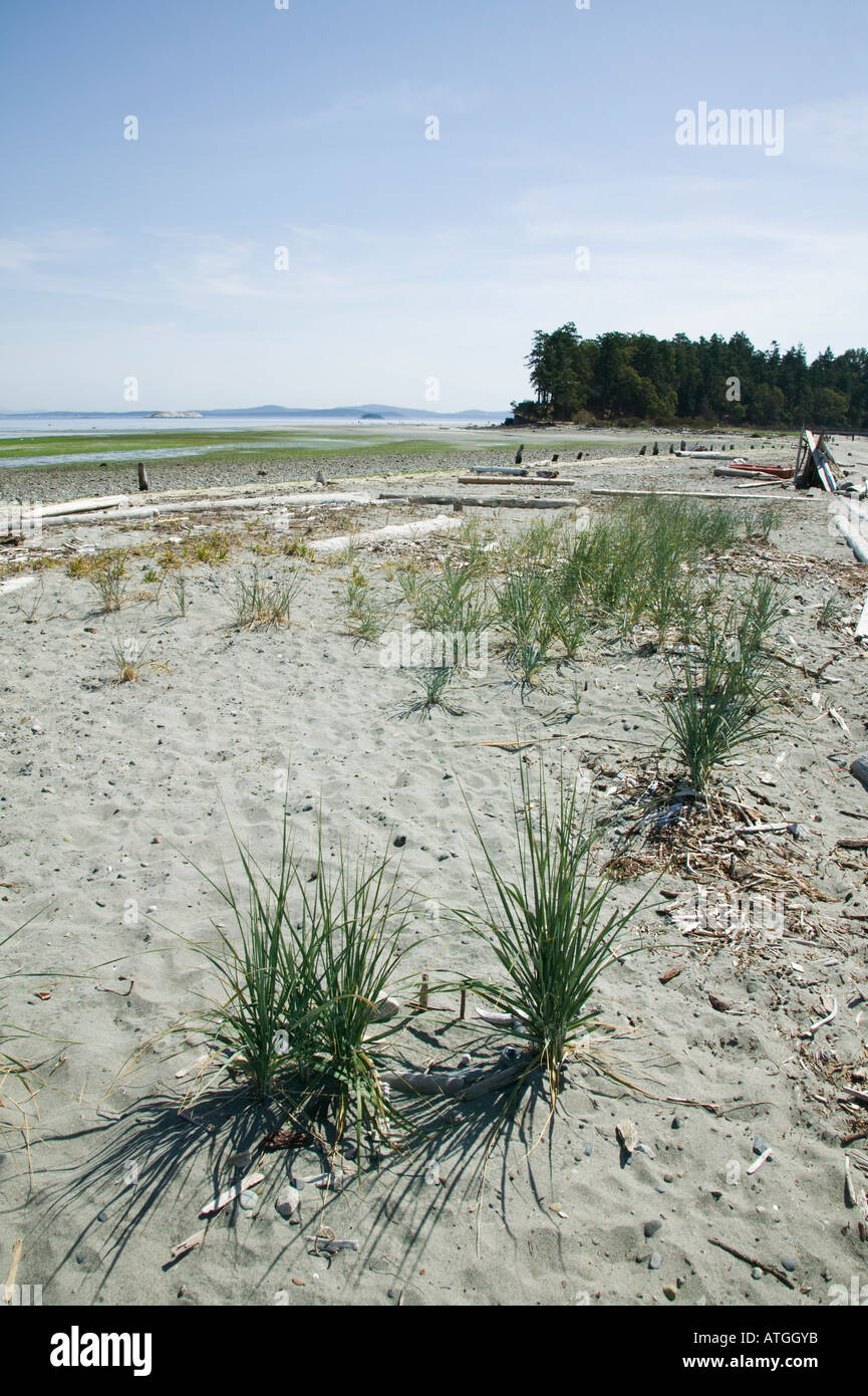 Sidney Spit Marine Park Stock Photos & Sidney Spit Marine Park Stock ...