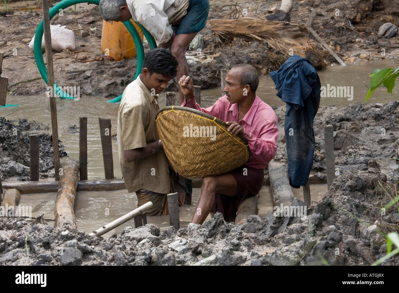panning for gem stone in paddy field sri lanka Stock Photo - Alamy