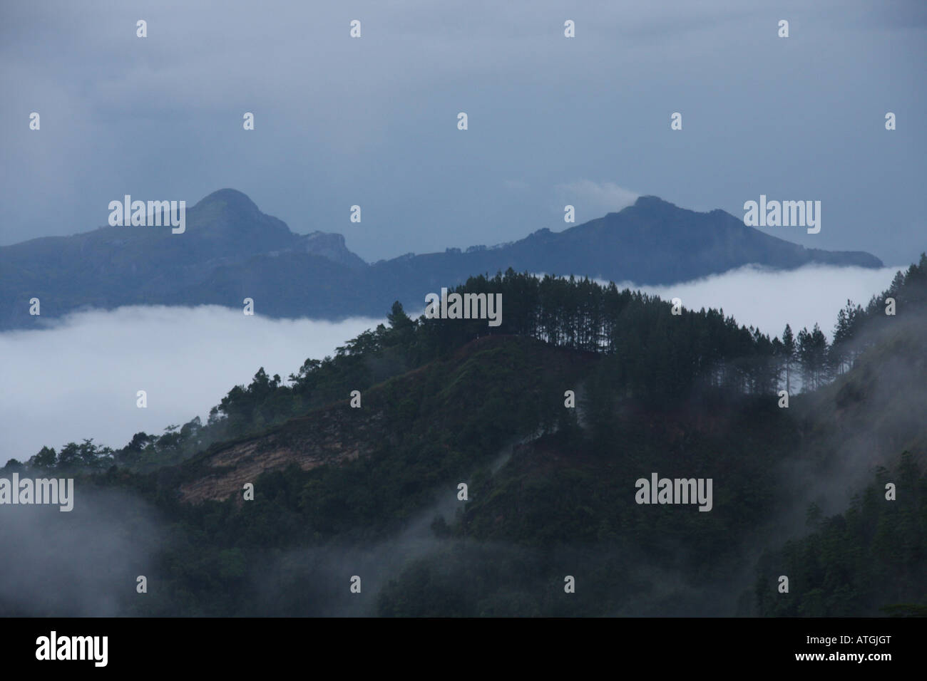 cloud forest at Hunas falls Sri Lanka Stock Photo - Alamy