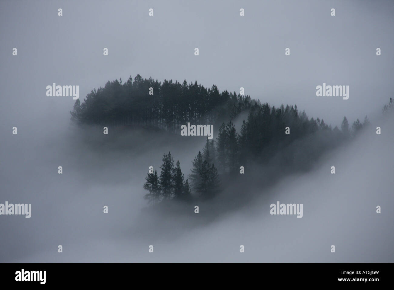 cloud forest at Hunas Falls Sri Lanka Stock Photo - Alamy