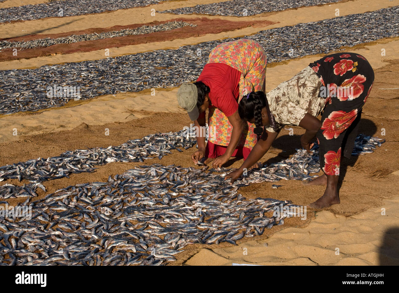 Sundry hi-res stock photography and images - Alamy