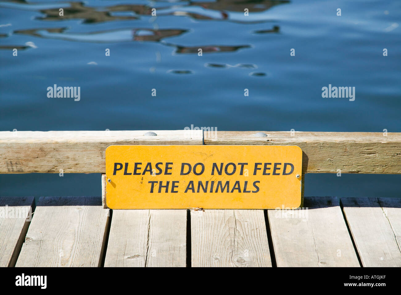 Do Not Feed The Animals Sign Stock Photo - Alamy