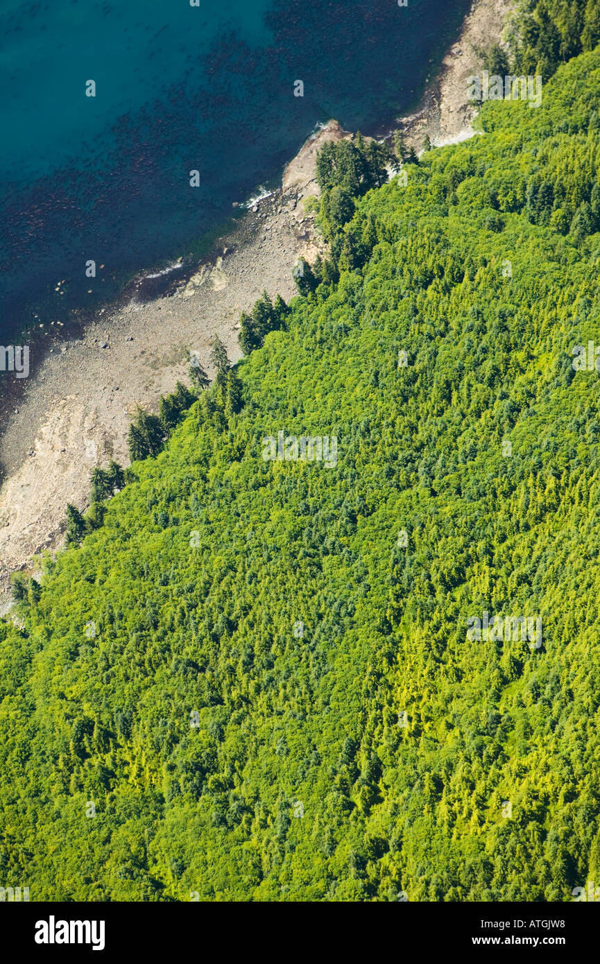 Clearcut Vancouver Island High Resolution Stock Photography and Images ...