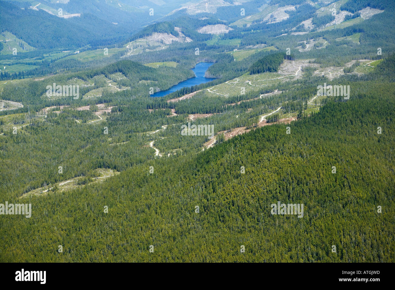 Aerial View of Logging West Coast Vancouver Island British Columbia ...