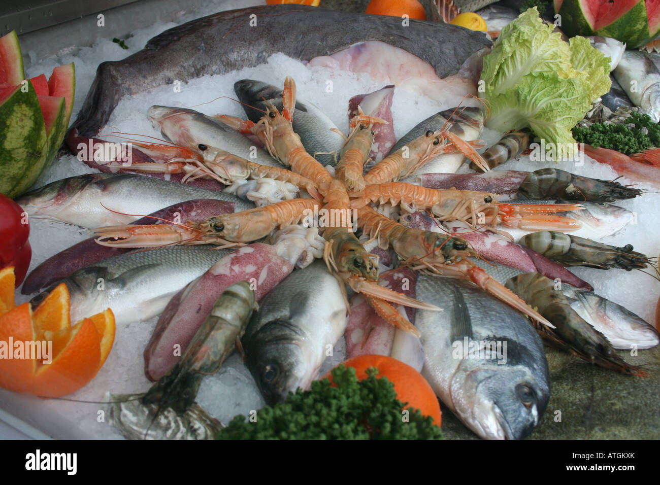 Beautiful seafood on the ice Stock Photo - Alamy