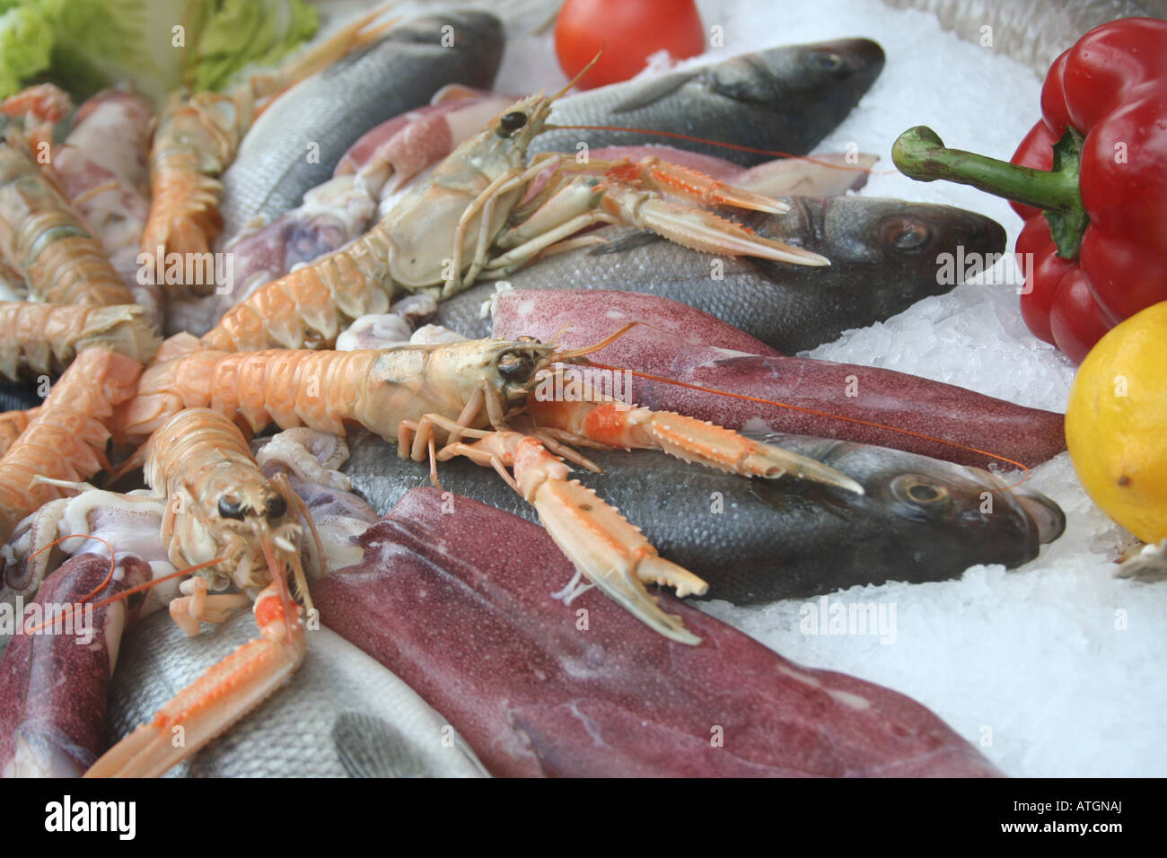 Beautiful seafood on the ice Stock Photo - Alamy