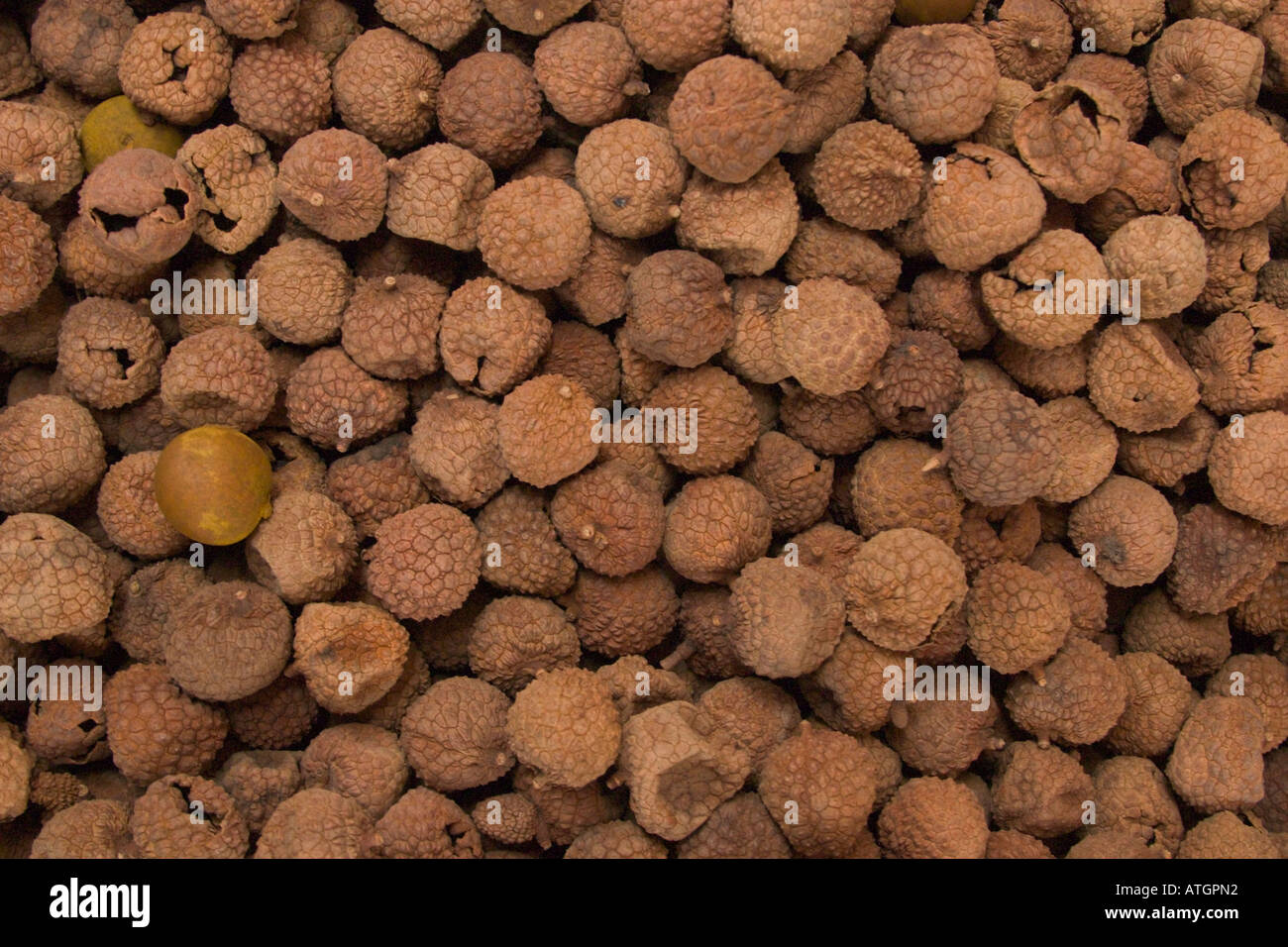 dried lychee sold at market stall Stock Photo - Alamy