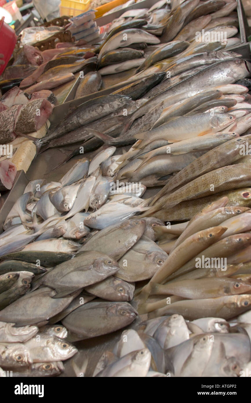 fish stall at market in Malaysia Stock Photo - Alamy